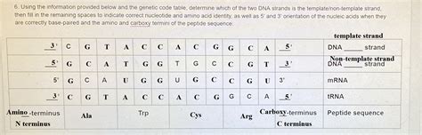 [Solved] 6. Using the information provided below and the genetic code table,... | Course Hero