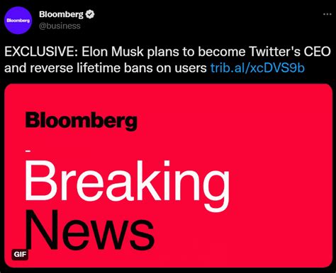 Elon Musk Plans To Reverse All Permanent Bans On Twitter Rparlerwatch