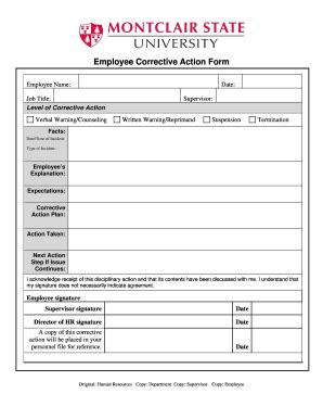 Corrective Action Plan Letter Format Sle Infoupdate Org