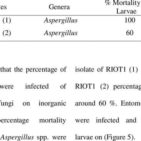 Cultural Characteristics Of Various Isolates Fungi On Pda Isolated From