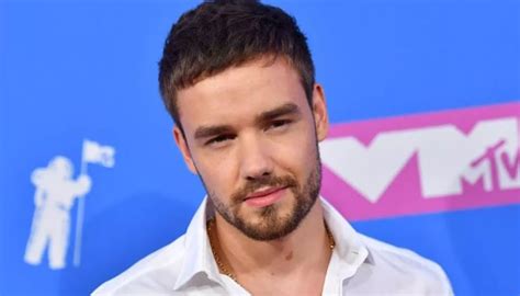 Liam Paynes Heartwarming Plans For Son Bear Exposed In Viral Update