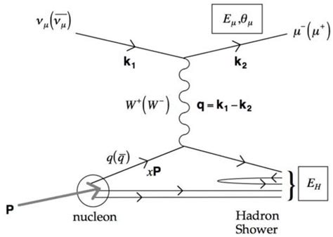 Tree Level Feynman Diagram For CC DIS Muon Neutrino Interaction Download Scientific Diagram