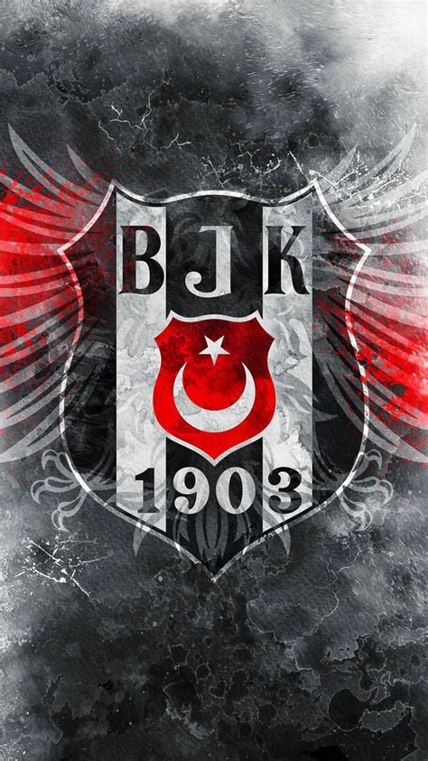 Besiktas Jk Dinotube Fr