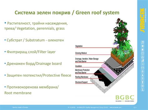 Предимства на зелените покриви в градска среда Ppt Download