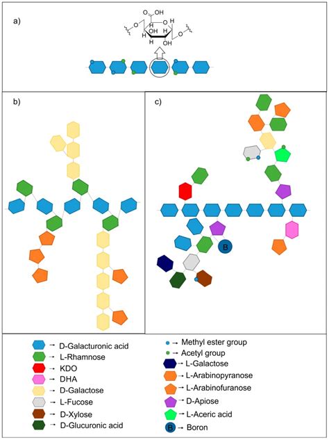 Pectin Structure