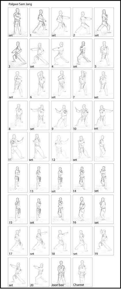 Palgwe Sam Jang Martial Arts Techniques Taekwondo Techniques Taekwondo