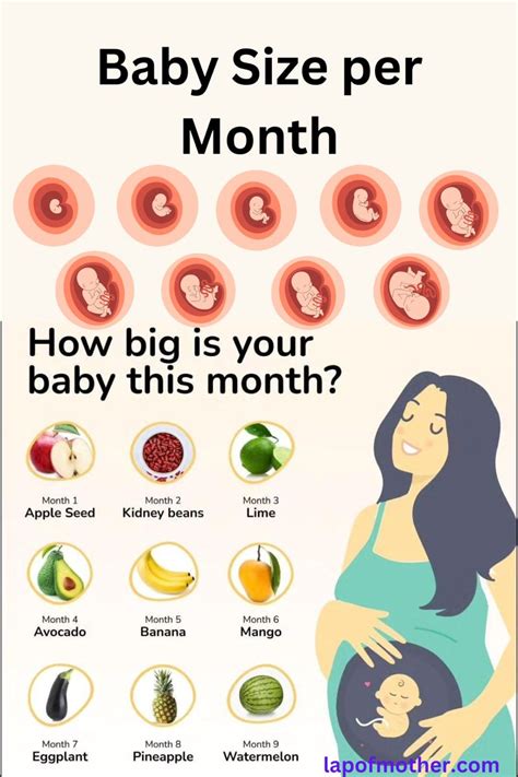 Pregnancy Week By Weeks Archive Artofit