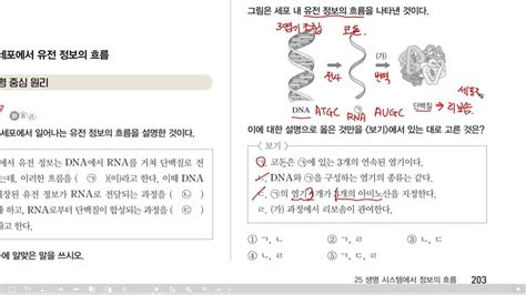 고1 통합과학 완자기출픽 25강 문제풀이 Youtube