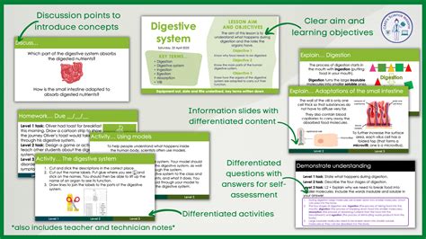 Digestive System Teaching Resources
