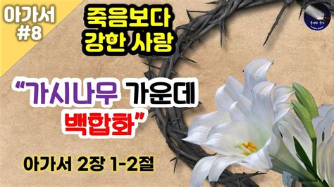[new 아가서 8 ] 가시나무 가운데 백합화 아 2 1 2 [이장욱 목사] Youtube
