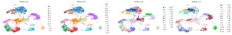 Clustering Bioinfozone Easy Way To Learn Bioinformatics