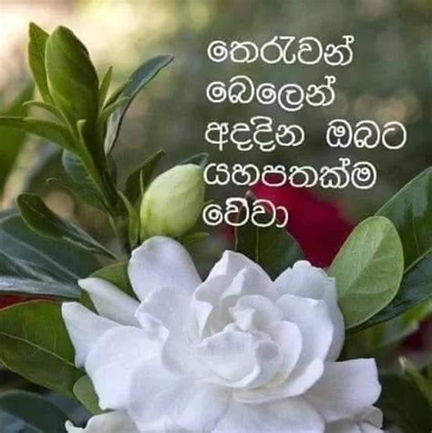 පත්තිනි දෙව් මැදුර