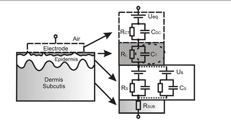 Equivalent Circuit Of A Textile Electrode—electrolyte Skin