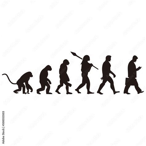 Theory Of Evolution Of Man Silhouette Human Development From Monkey To