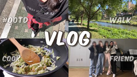 Vlog 일본 브이로그 끝나고 한국 브이로그 양배추 덮밥샐러드엽떡마라탕꿔바로우닭똥집닭발김치전 Youtube