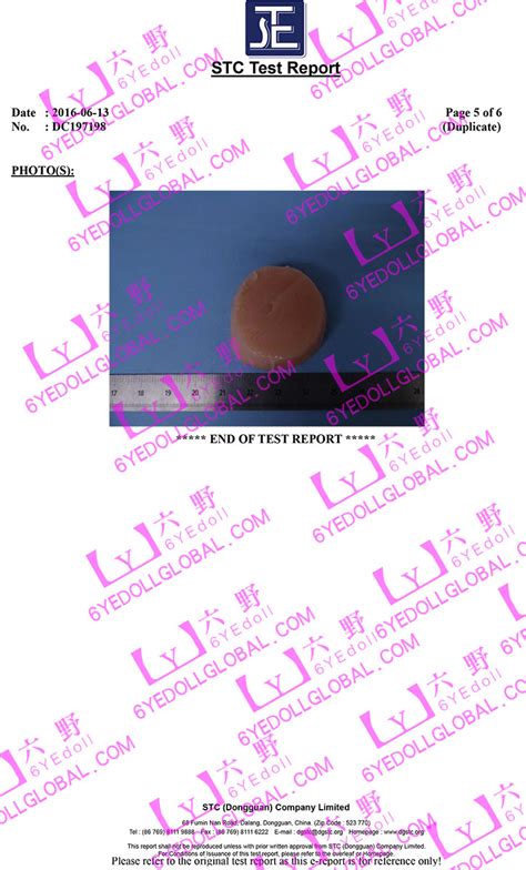 6ye Stc Test Report 6ye Premium High Quality Adult Sex Dolls Pioneer