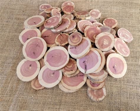 80 Red Cedar Wood Slices 2 3 Cedar Wood Rounds Diy Ornaments Epoxy