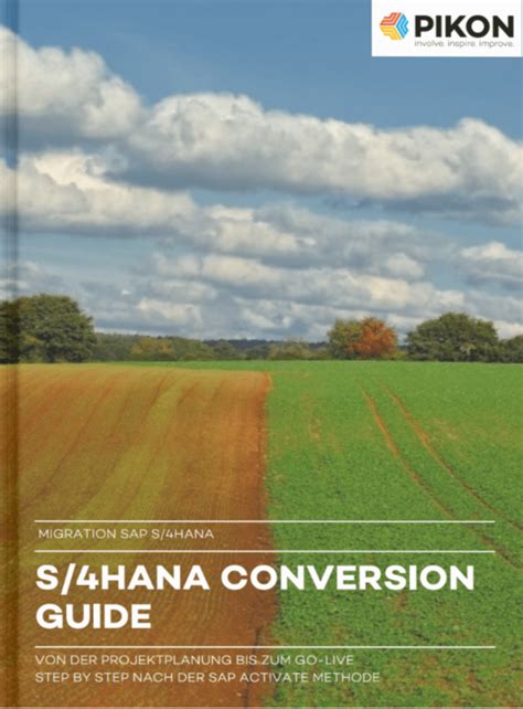 Sap S4hana Conversion Guide Pikon Sap Consulting International