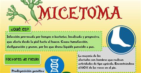 DIVULGACIÓN CIENTÍFICA UG Micetoma