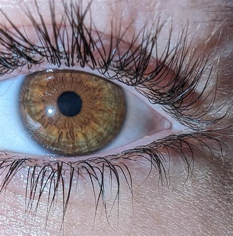 r/eyes
