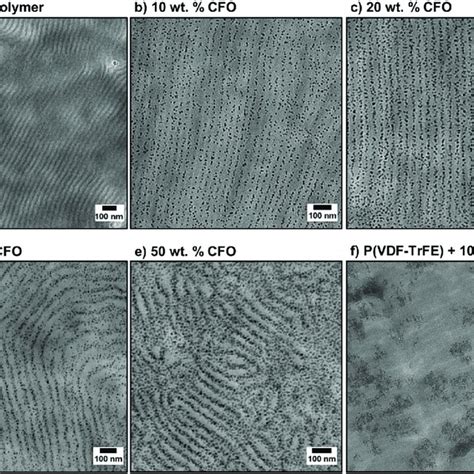 Magnetization Versus Applied Magnetic Field For The Block Copolymer And