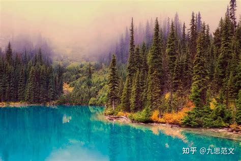 澡雪而精神 知乎