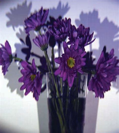 Switchable Primaries Using Shiftable Layers Of Color Filter Arrays” By