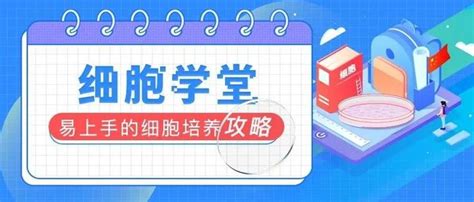 细胞学堂 骨髓来源树突状细胞（dc细胞）怎么养 知乎