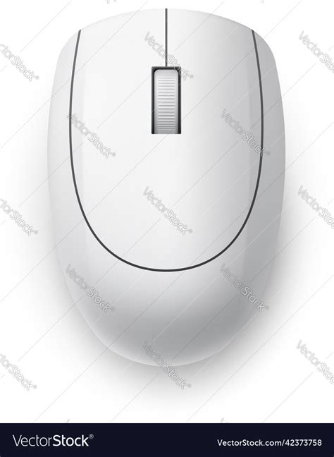 Computer Mouse Royalty Free Vector Image VectorStock