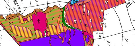 specialist surveys gis habitat mapping openspace