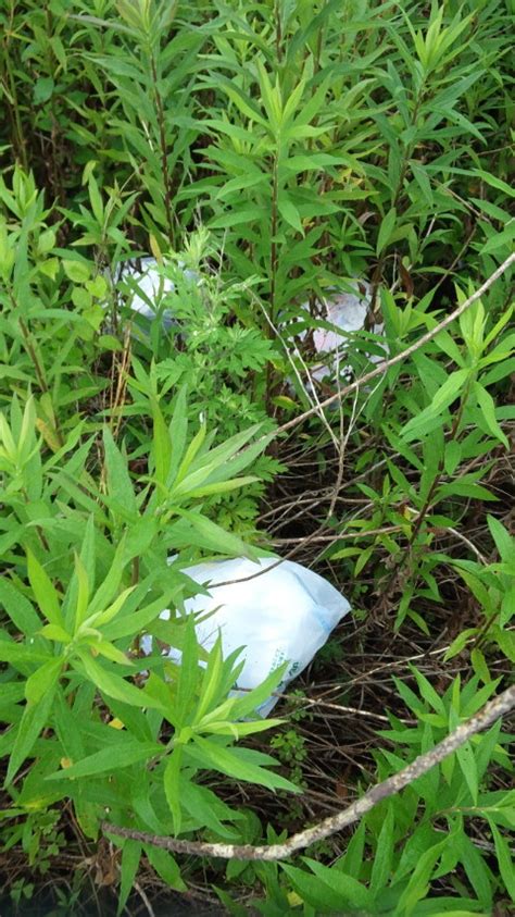 2023ゴミの町阿南市15ポイ捨ては犯罪だポイ捨て止めますか人間止めますか阿南市はゴミの山15西路見富小前コース