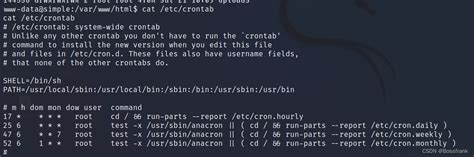 红队打靶：bne0x03simple打靶思路详解（vulnhub）simpleova复现 Csdn博客