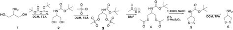 Synthesis Of 4 Amino 12 Dithiolane Download Scientific Diagram