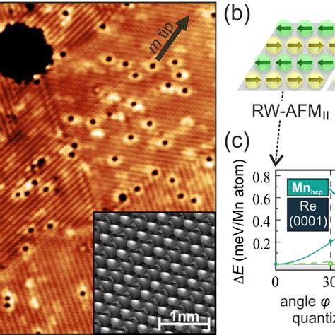 A Spin Resolved Constant Current STM Image Of The Fcc Stacked Mn