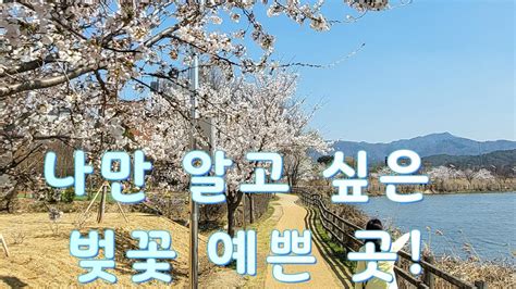 나만 알고 싶은 벚꽃 예쁜곳 양수리 능내역 자전거 올림픽공원 천호암사 Youtube