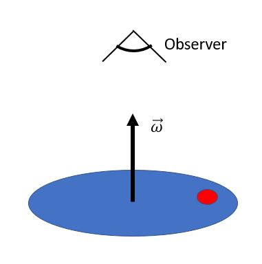 Newtonian Mechanics Physical Significance Of The Angular Velocity Vector And Its Projections