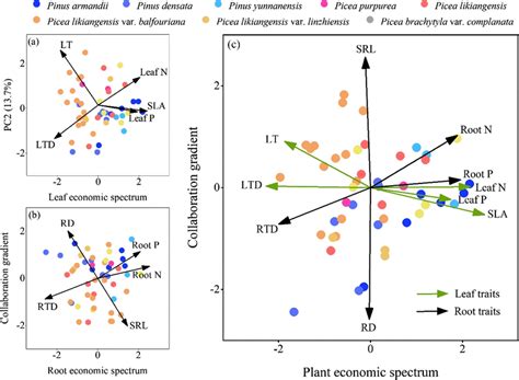 Principal Component Analysis Of Leaf Traits A Root Traits B And