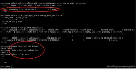 Postgresql 9流复制配置postgres9和postgres16是否可以流复制 Csdn博客