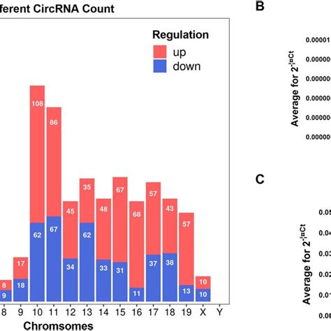Distribution Of Altered Circrnas And Their Validation A The Download Scientific Diagram