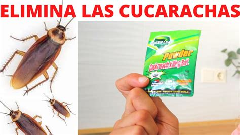 Anémona de mar alabanza Zoológico de noche como hacer para eliminar las