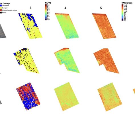 Pre And Post Fire Satellite Imagery 12 Ground Truth Sampling Raster