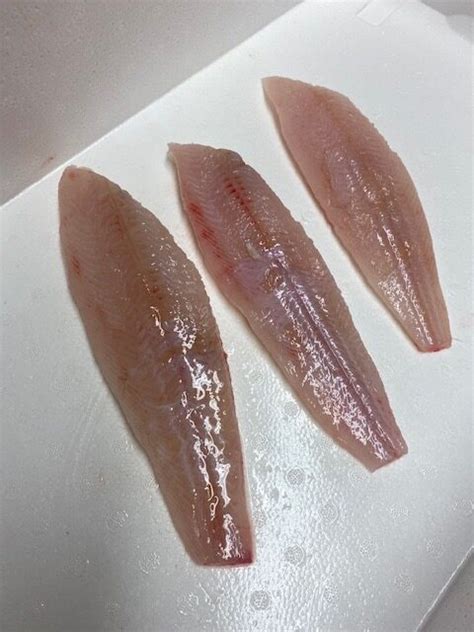 Hondstong Panklaar €kg Vishandel Dedeystere