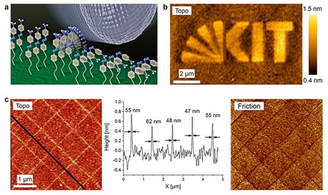偶氮苯异构化不用光照，用力“拍”？ X Mol资讯