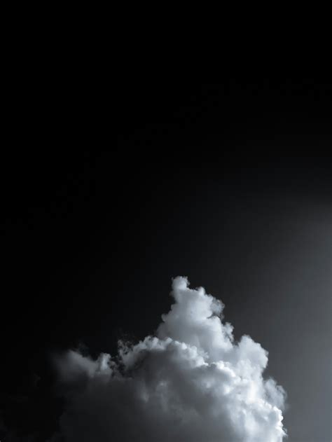 My Blonde Life — Tamara Jorell