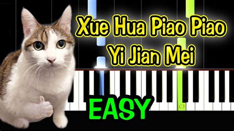 Xue Hua Piao Piao Yi Jian Mei Piano Tutorial Easy Free Sheet
