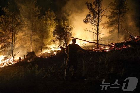 포토 그리스 에비아섬 또 대형 산불 뉴스1