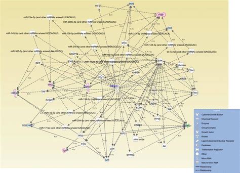 IPA Analysis In Silico Investigation Download Scientific Diagram