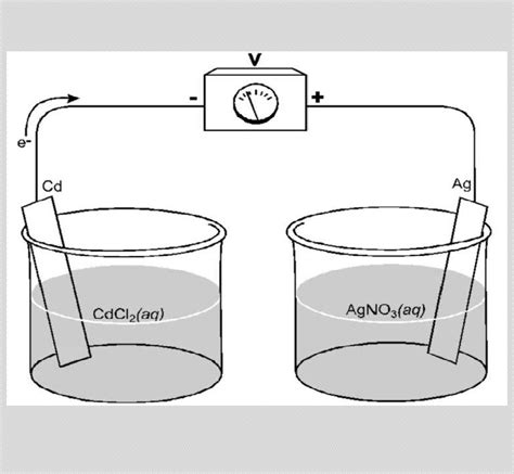 LA ELECTROQUMICA Y LA BIOQUMICA Tipos De Celdas