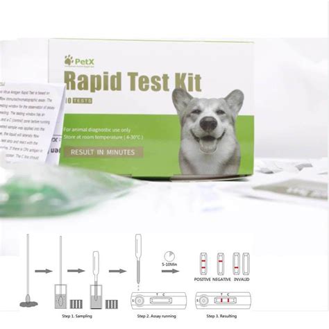 Giardia Antigen Rapid Test Giardia AG Diagnostic And Rapid Test