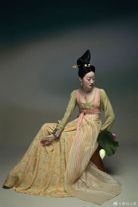 Hanfu🇨🇳・汉服 Chinese Tang Dynasty Traditional Clothing Hanfu Ancient